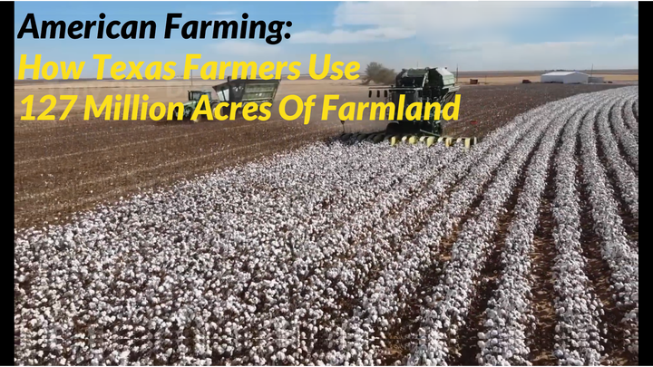 How Texas Farmers Use 127 Million Acres Of Farmland - American Farming ...